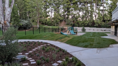 Intertex Scip Higher Ground